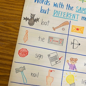 Homographs Anchor Chart - Etsy