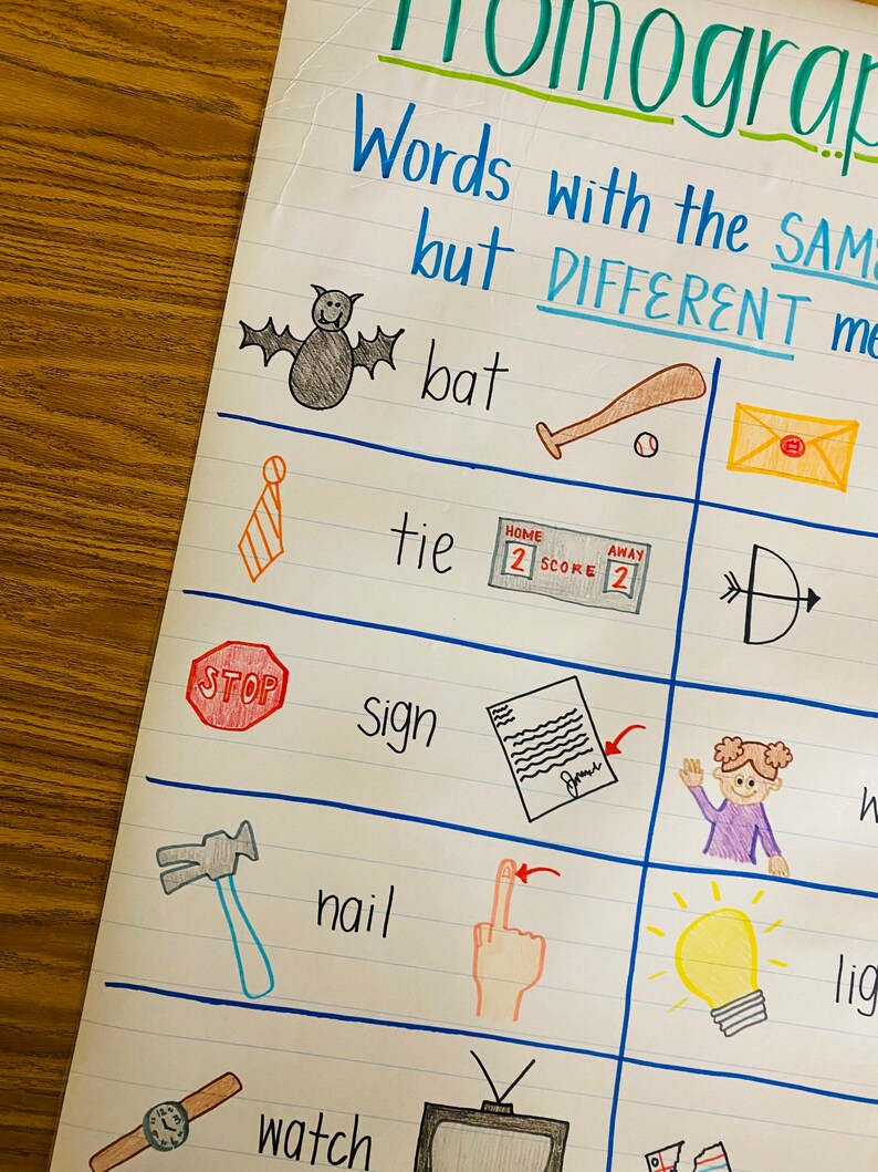 Homographs Anchor Chart - Etsy