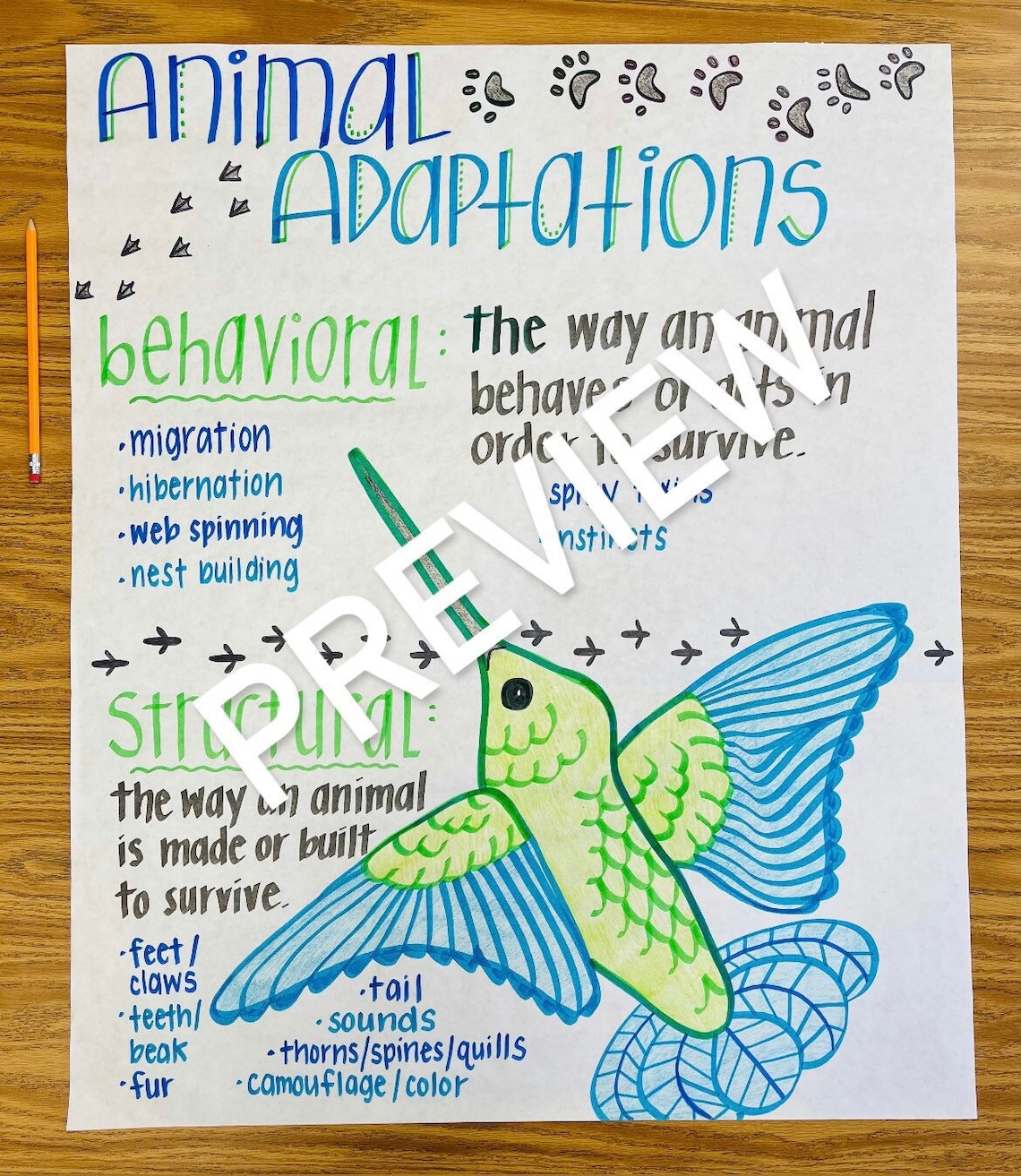 Animal Adaptations Anchor Chart - Etsy Animal Adaptations Anchor Chart - Etsy
