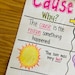Cause and Effect Anchor Chart - Etsy