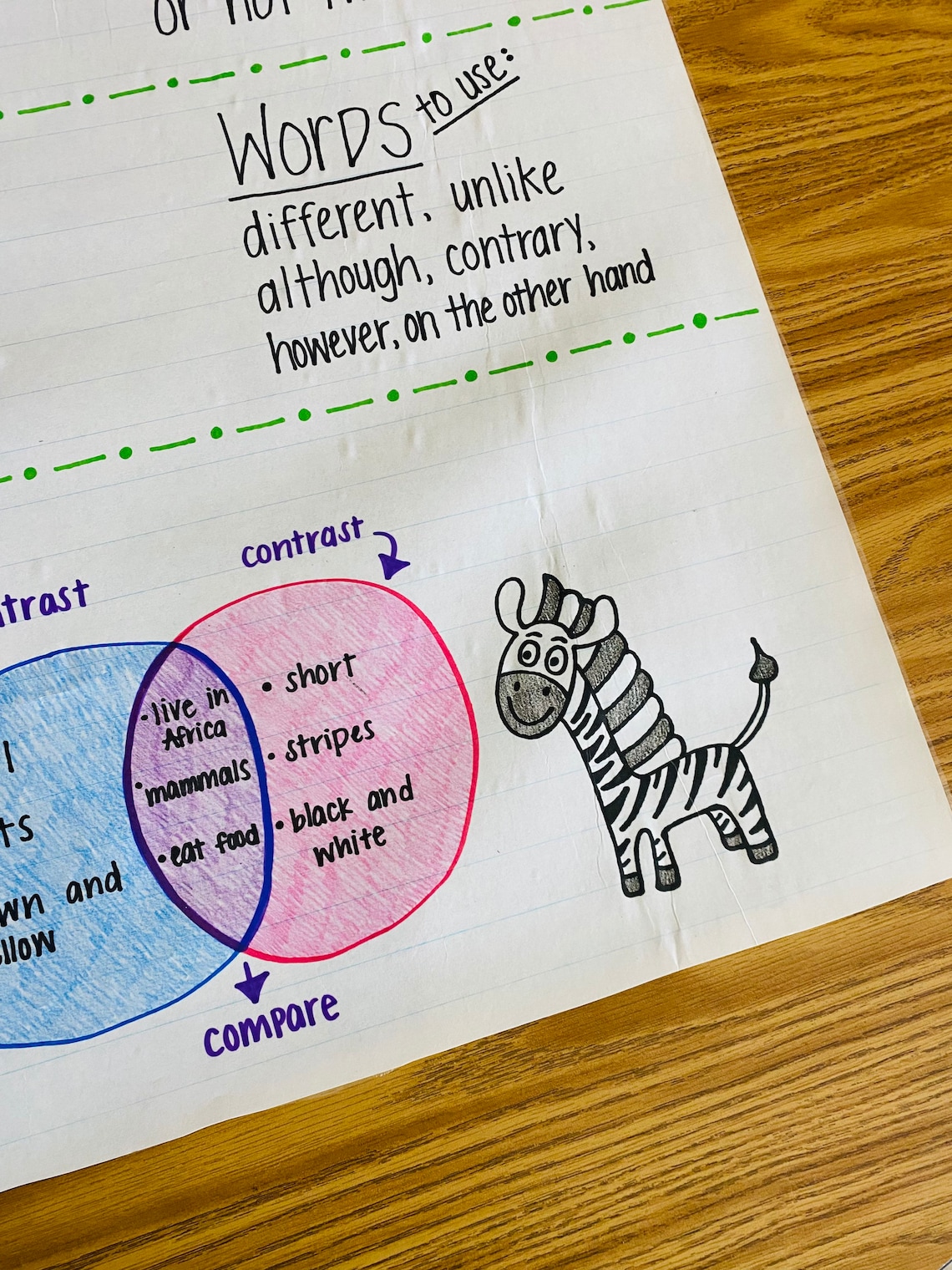 Compare/contrast Anchor Chart - Etsy