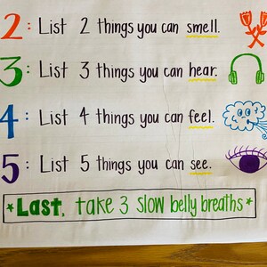 12345 Calming Method Anchor Chart - Etsy