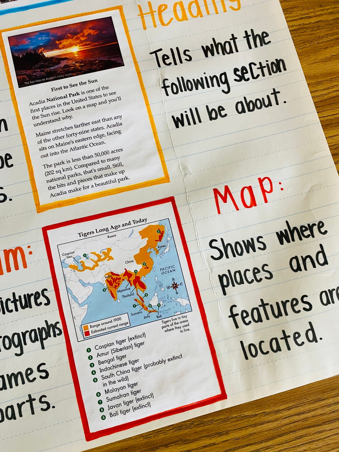 Non-fiction Text Features Anchor Chart - Etsy