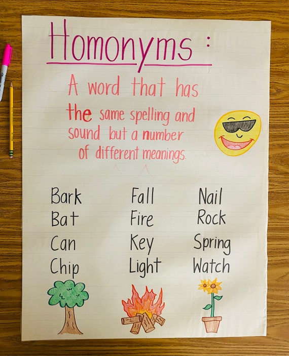 Homonyms Anchor Chart | Etsy