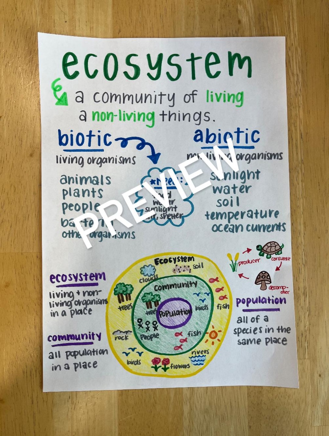 Ecosystem Anchor Chart - Etsy