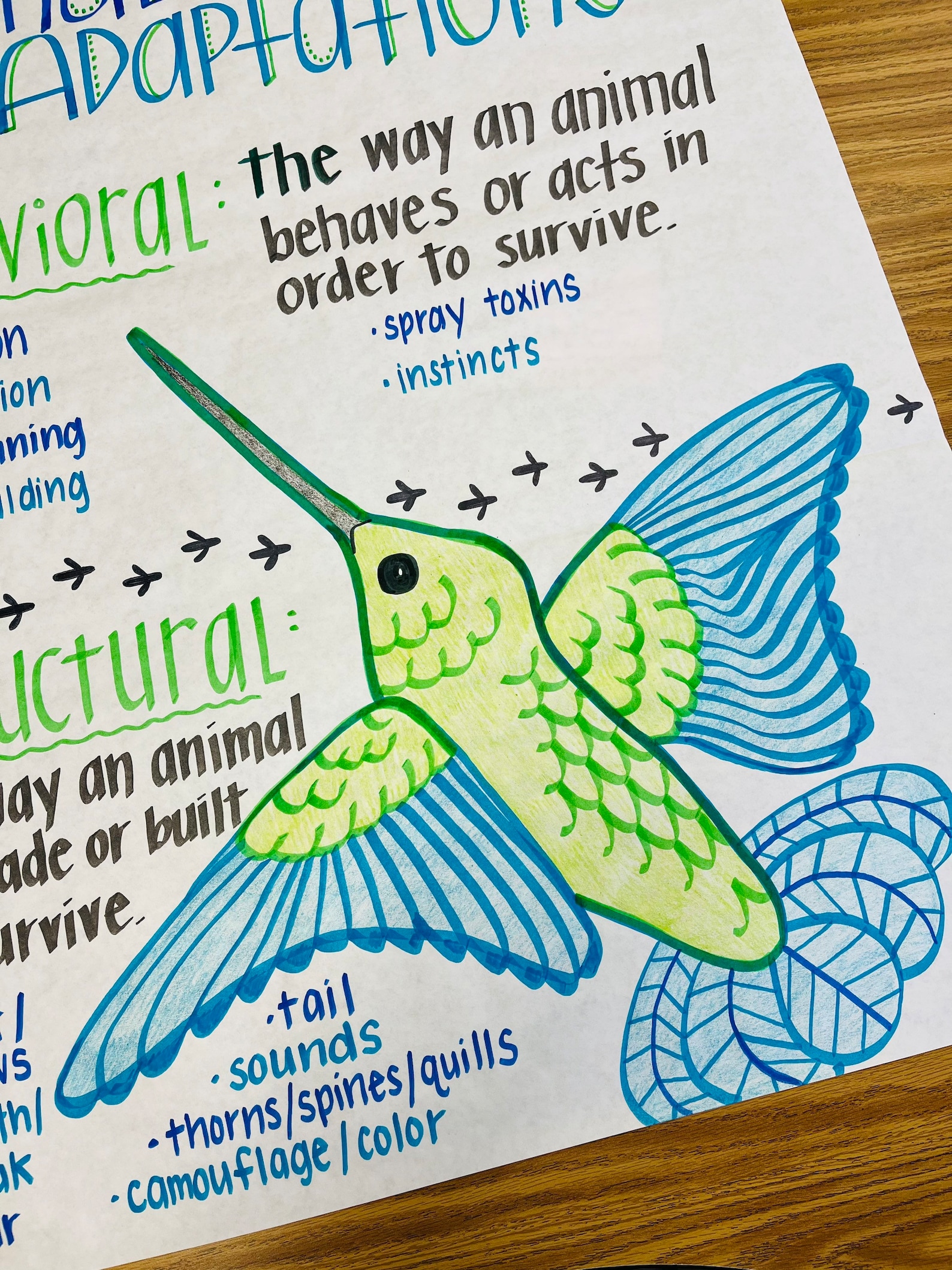 Animal Adaptations Anchor Chart - Etsy