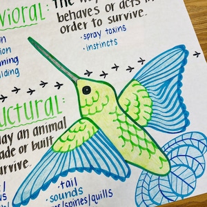 Animal Adaptations Anchor Chart - Etsy
