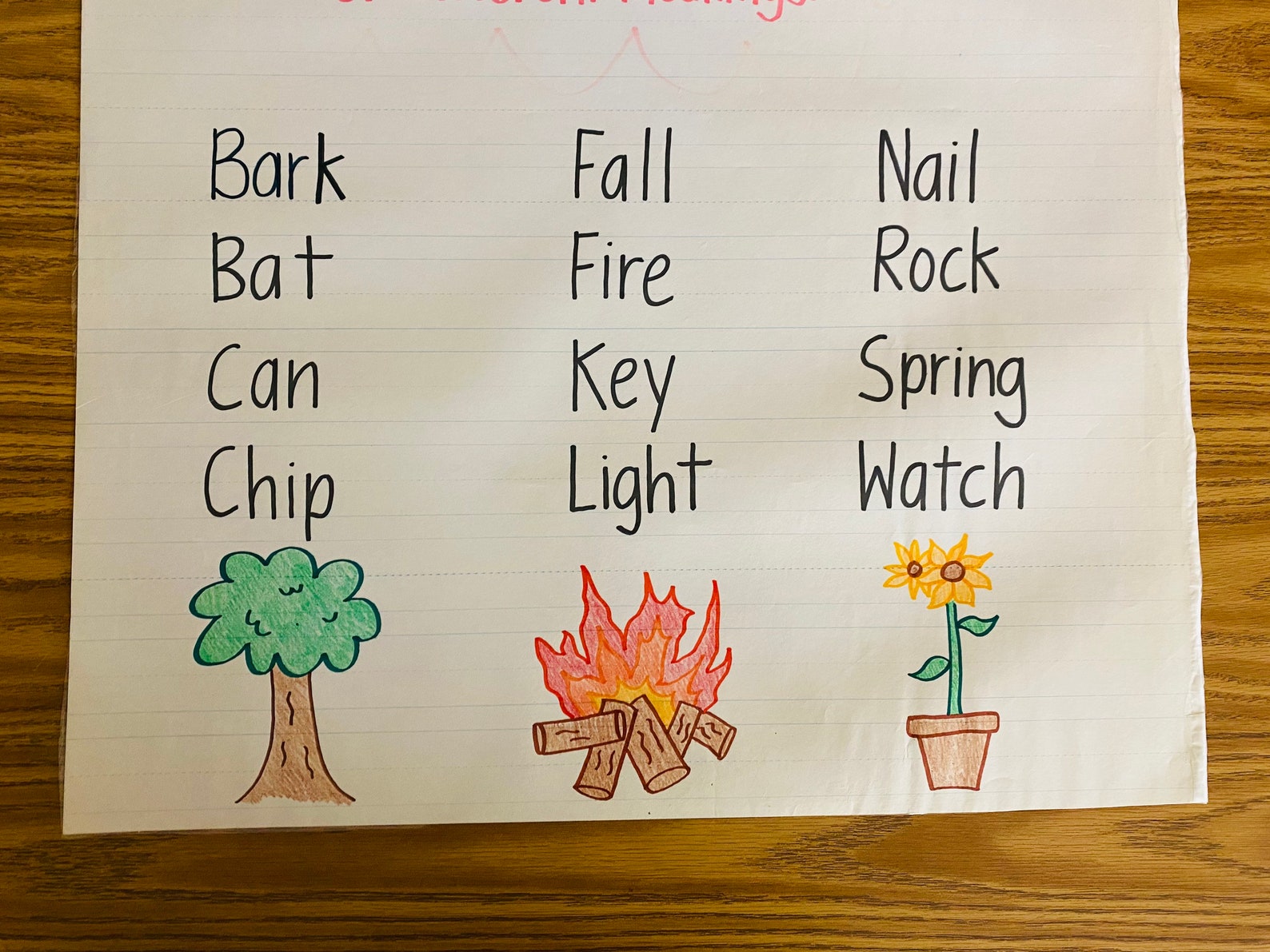 Homonyms Anchor Chart - Etsy
