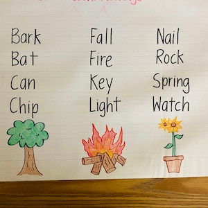 Homonyms Anchor Chart - Etsy