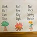 Homonyms Anchor Chart - Etsy