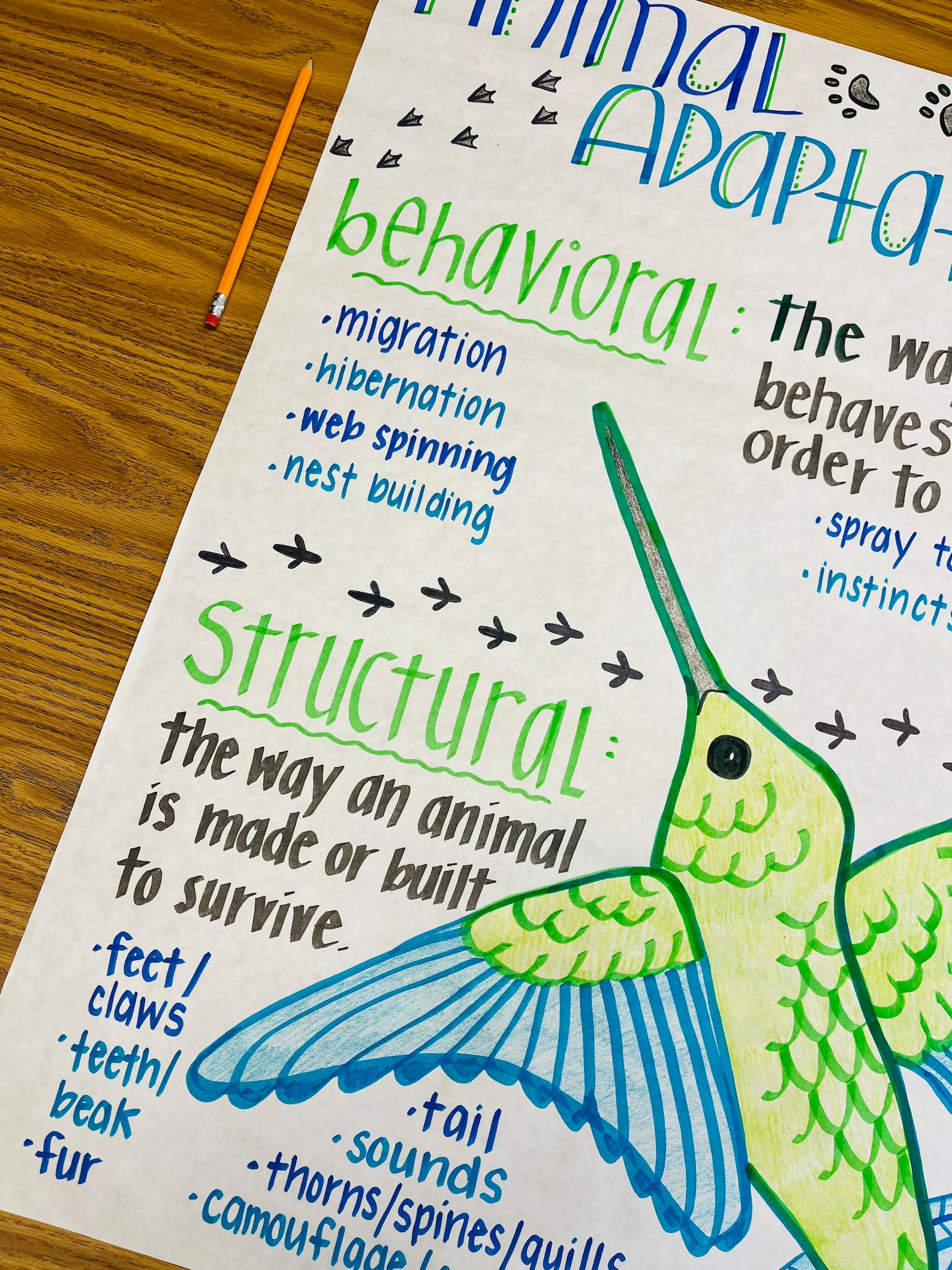 Animal Adaptations Anchor Chart - Etsy