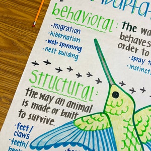 Animal Adaptations Anchor Chart - Etsy