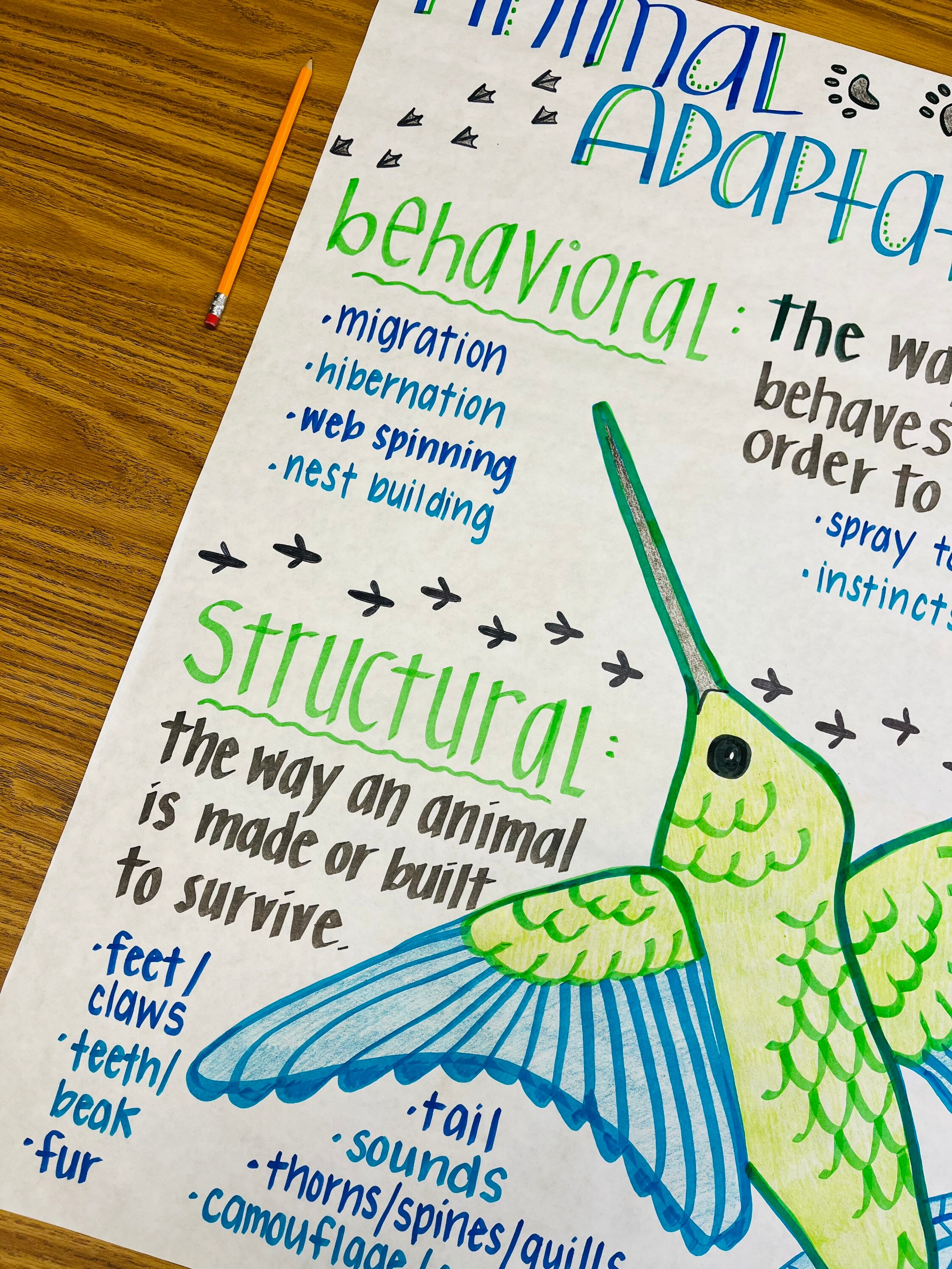 Animal Adaptations Anchor Chart - Etsy Animal Adaptations Anchor Chart - Etsy