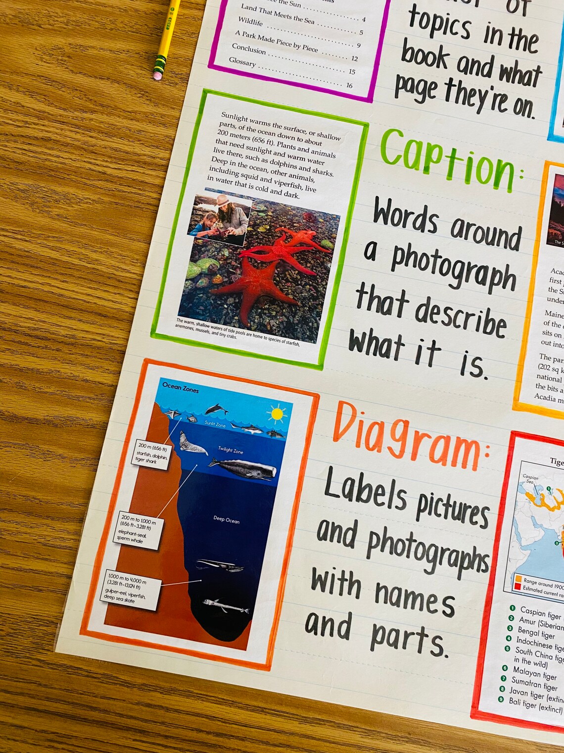 Non-fiction Text Features Anchor Chart - Etsy