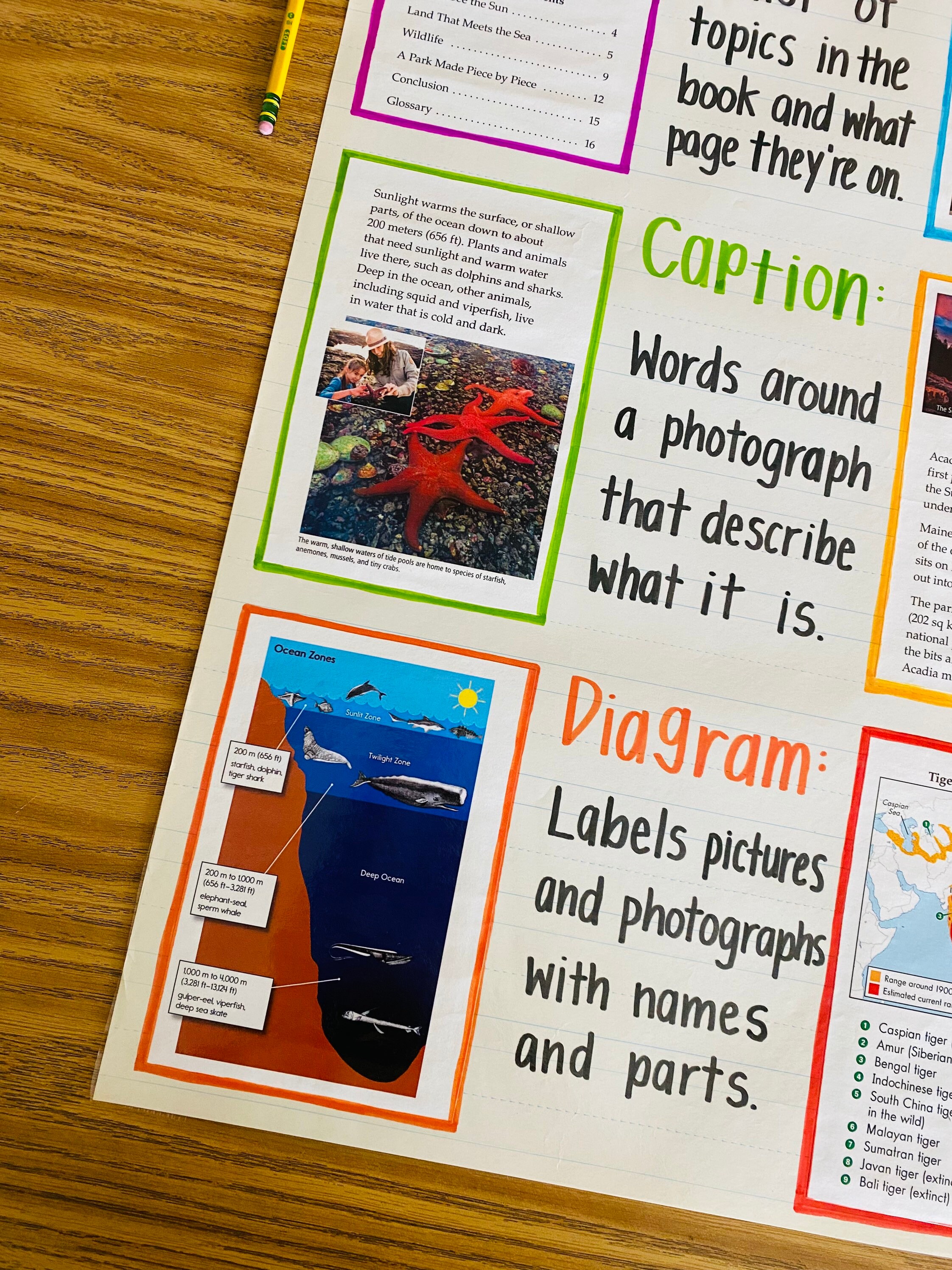 Non-fiction Text Features Anchor Chart - Etsy