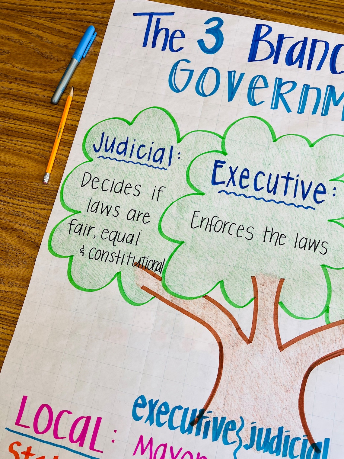 3 Branches of Government Anchor Chart: Classroom Poster - Etsy