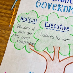 The 3 Branches of Government Anchor Chart - Etsy