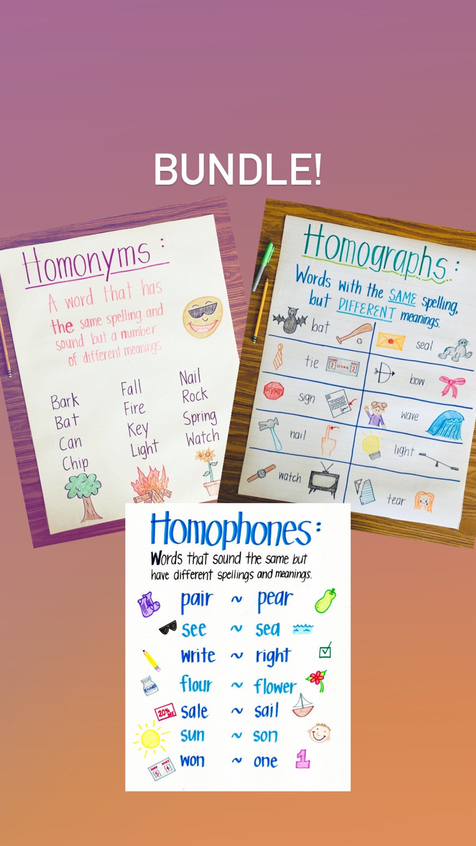 Bundle Homographs Homonyms and Homophones Anchor Charts - Etsy