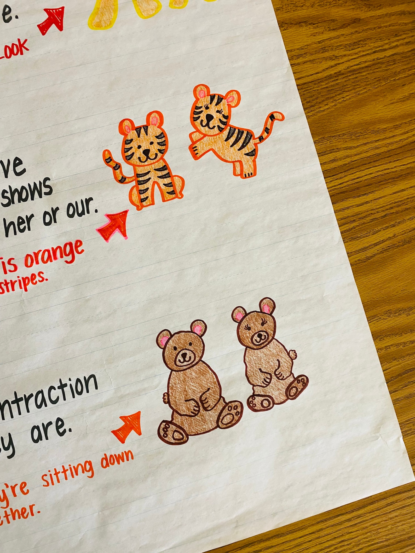 There, Their, They're Anchor Chart - Etsy