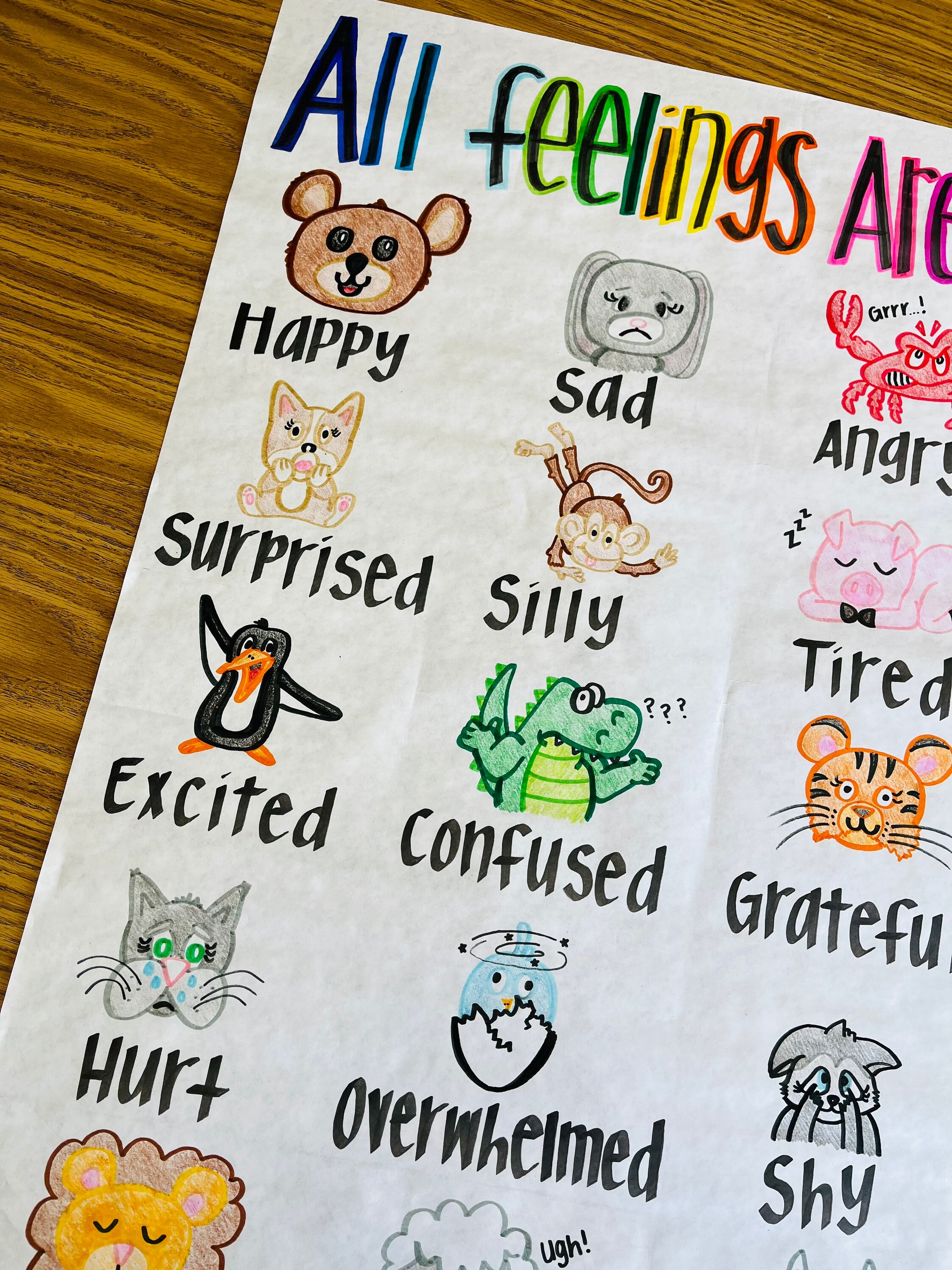 All Feelings Are Welcome Anchor Chart - Etsy