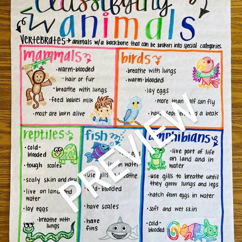 Parts of a Plant Anchor Chart - Etsy Canada