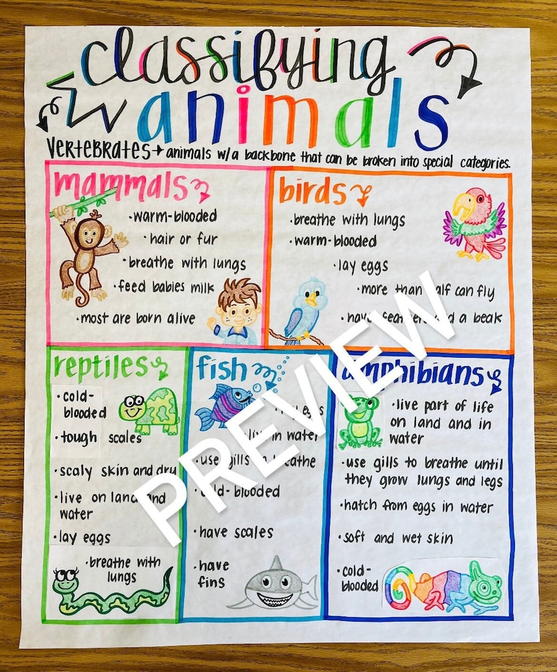 Animal Classification Anchor Chart - Etsy