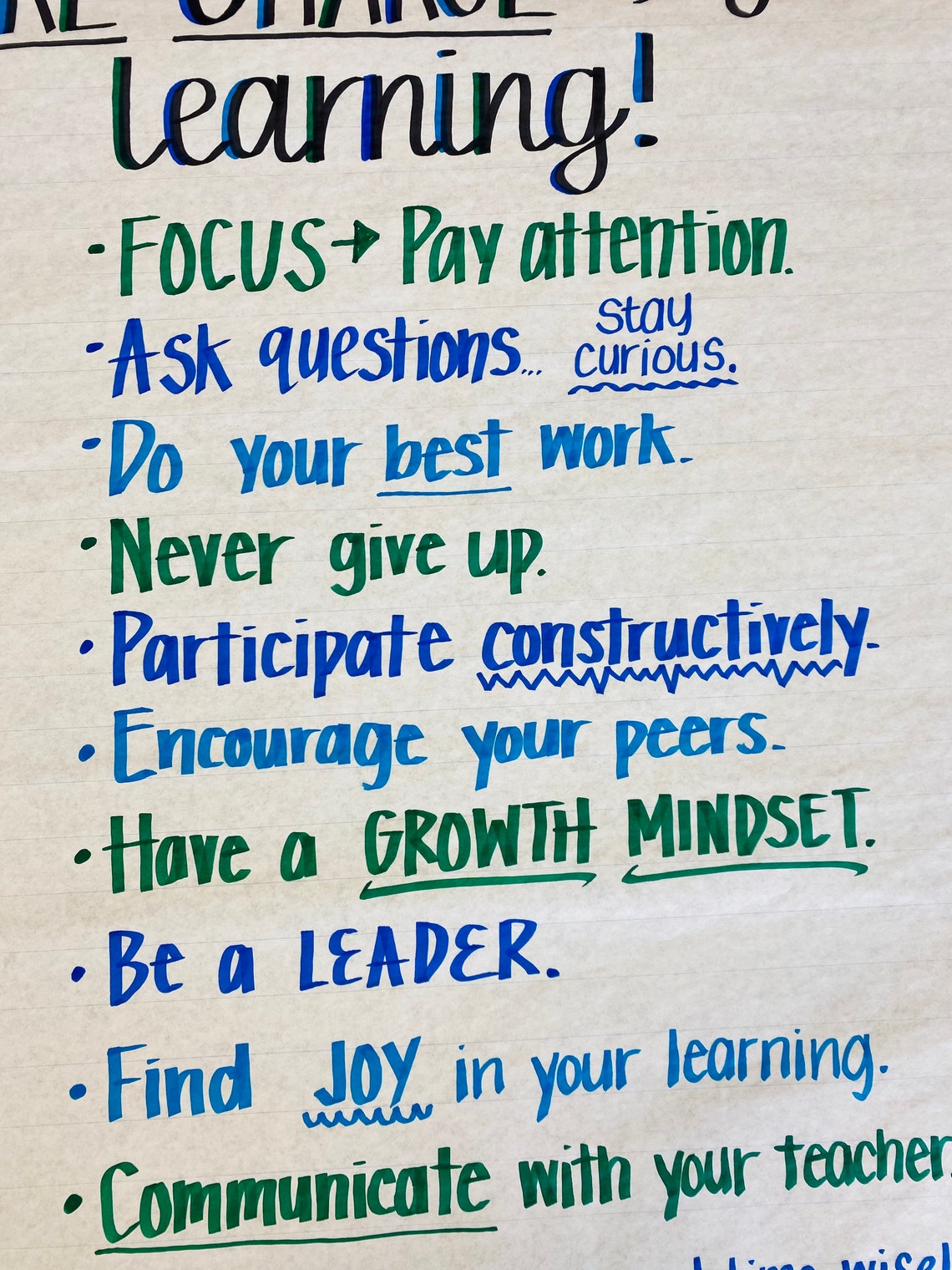 Take Charge of Your Learning Anchor Chart - Etsy