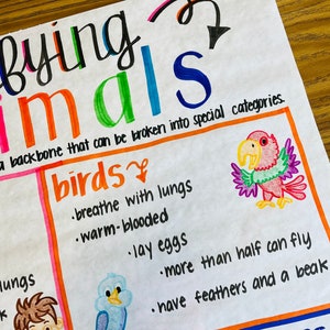 Animal Classification Anchor Chart - Etsy