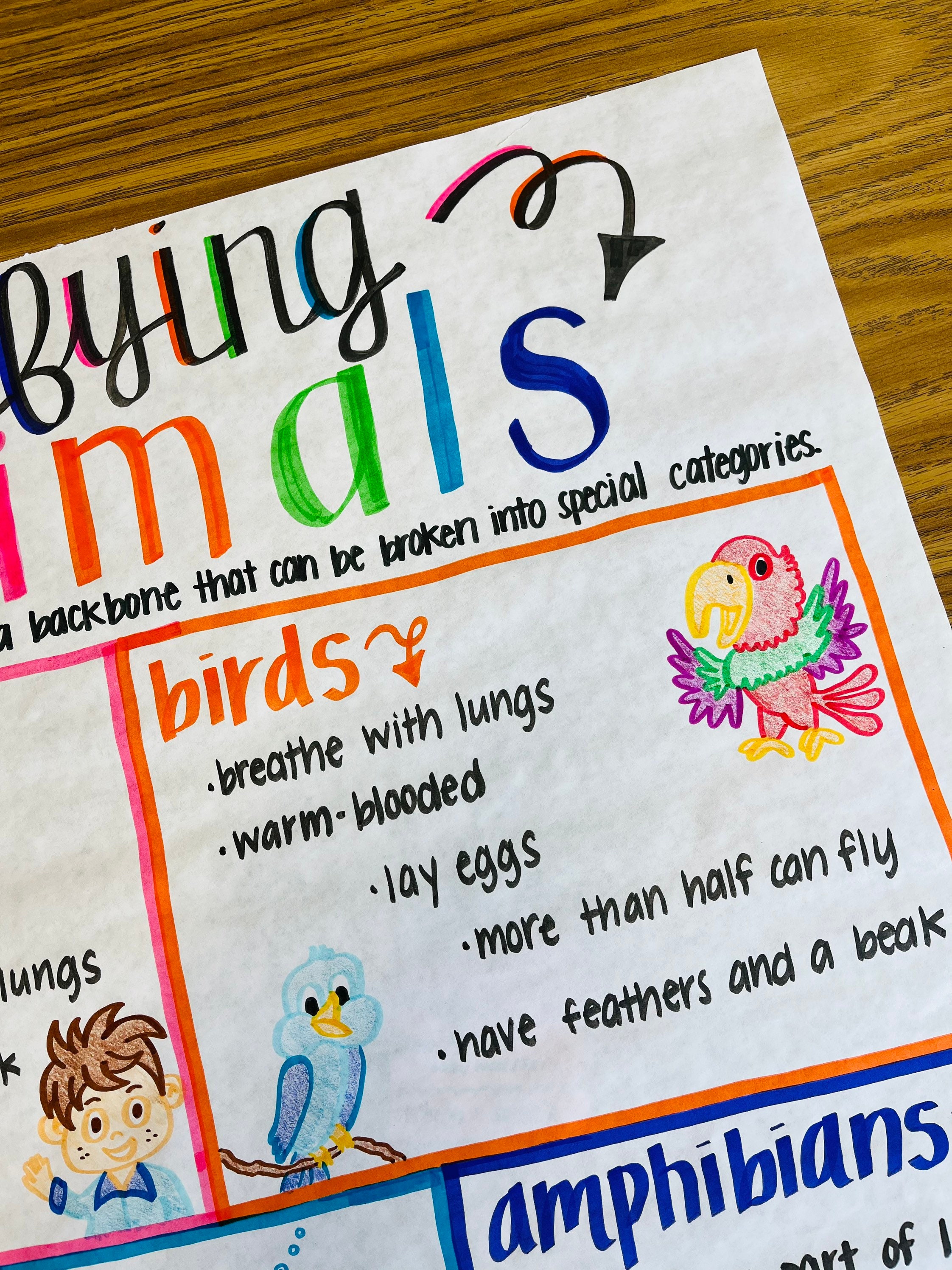 Animal Classification Anchor Chart - Etsy