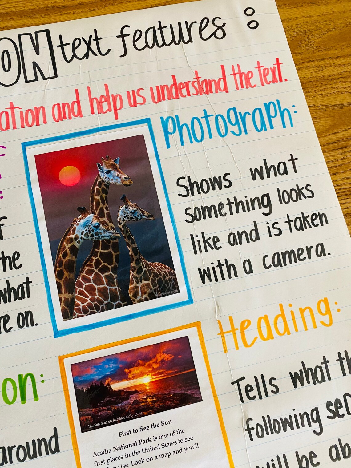 Non-fiction Text Features Anchor Chart - Etsy