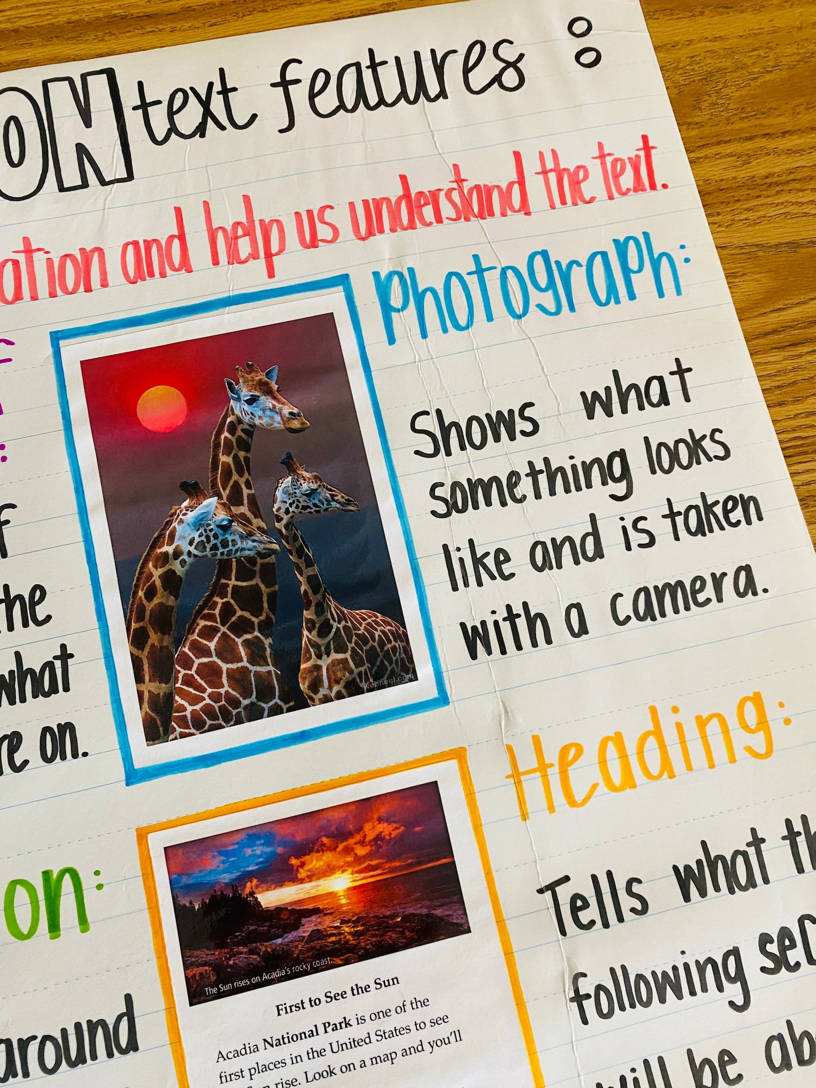 Non-fiction Text Features Anchor Chart - Etsy