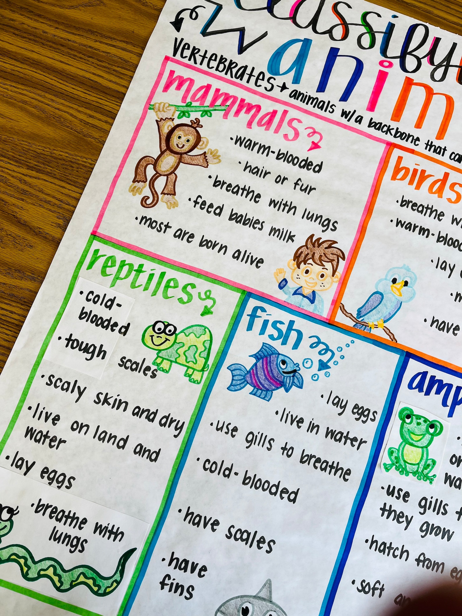 Animal Classification Anchor Chart - Etsy