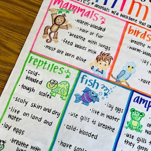 Animal Classification Anchor Chart - Etsy