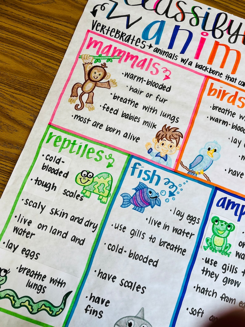 Animal Classification Anchor Chart - Etsy