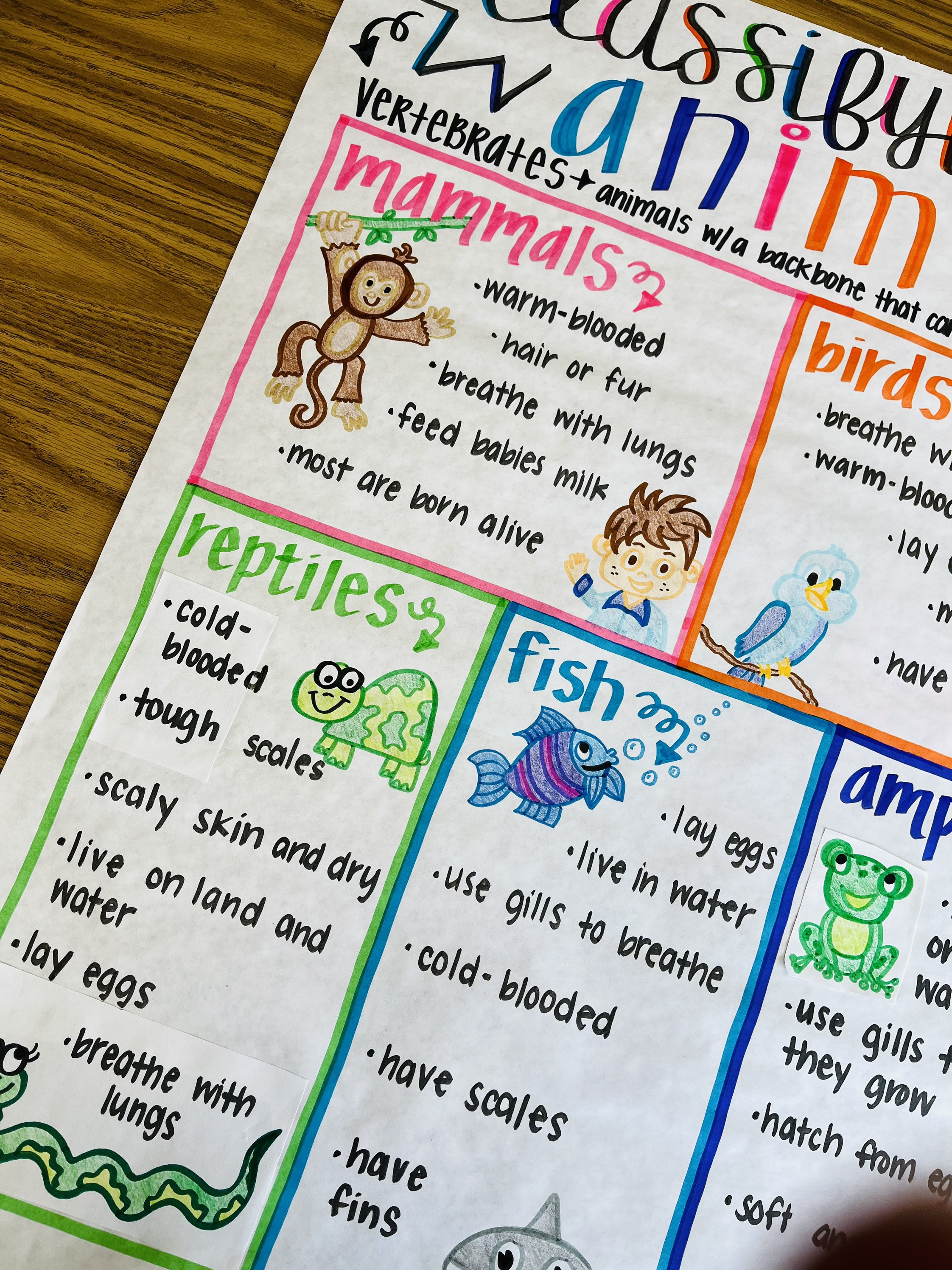Animal Classification Anchor Chart - Etsy