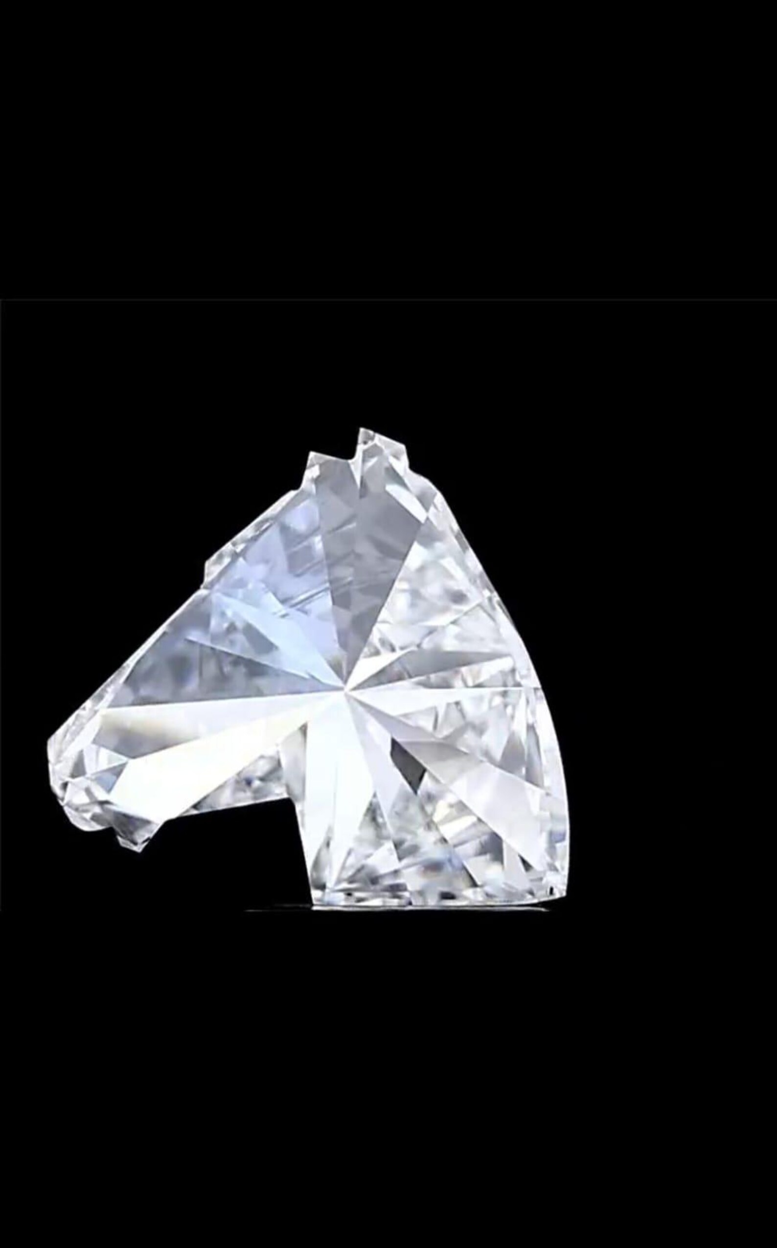 Horse Head Shape Lab Grown Diamond, Fancy Shape Man Made Diamond,1.00 ...