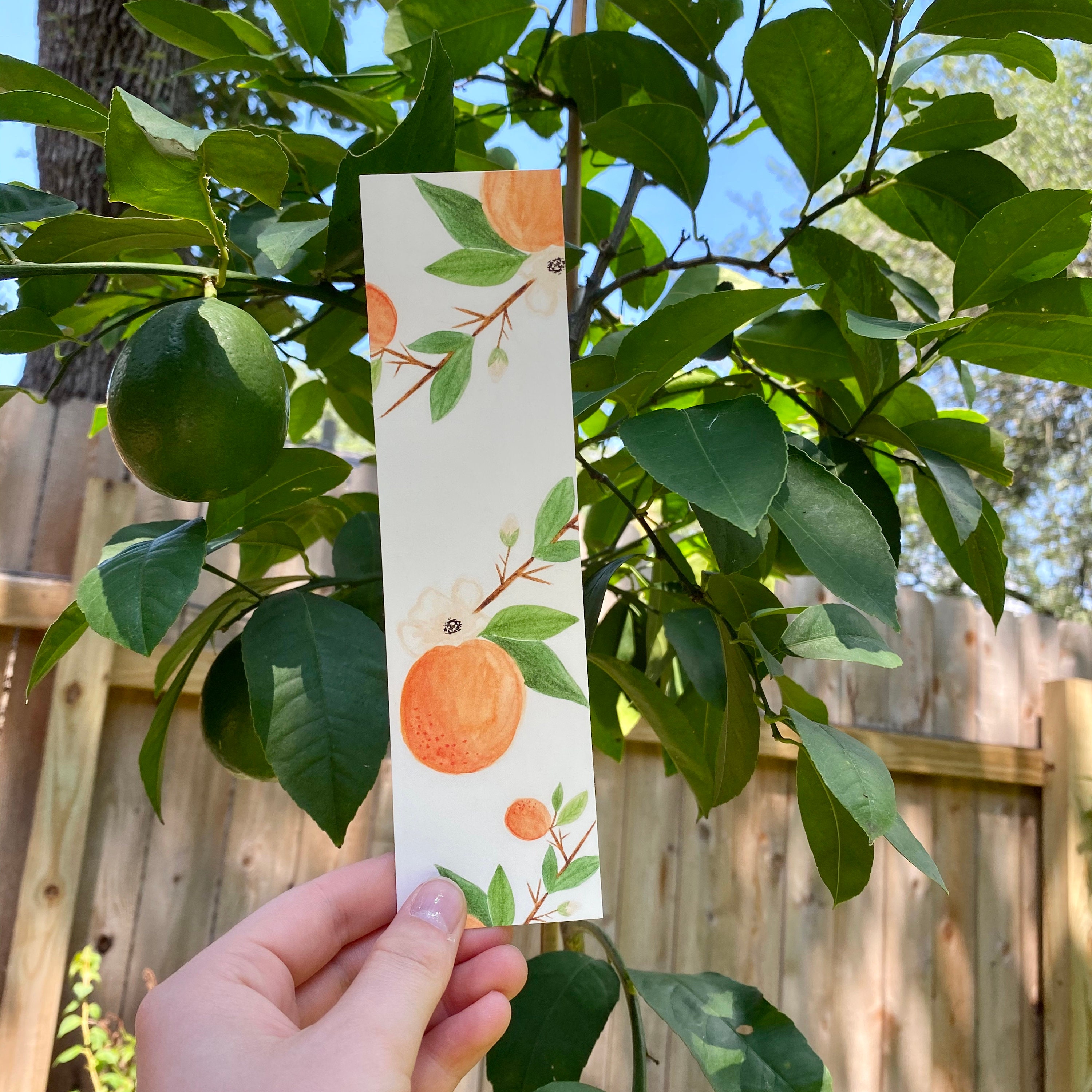 Orange Blossom Bookmark Watercolor Orange Fruit Bookmark - Etsy