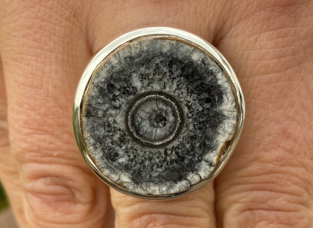 Natural Orthoceras Cross Section Ring (size M 1/2 , 6.75) Ring in 925 ...