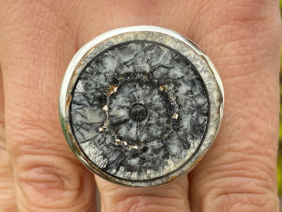 Natural Orthoceras Cross Section Ring (size R , 8.75) Ring in 925 ...