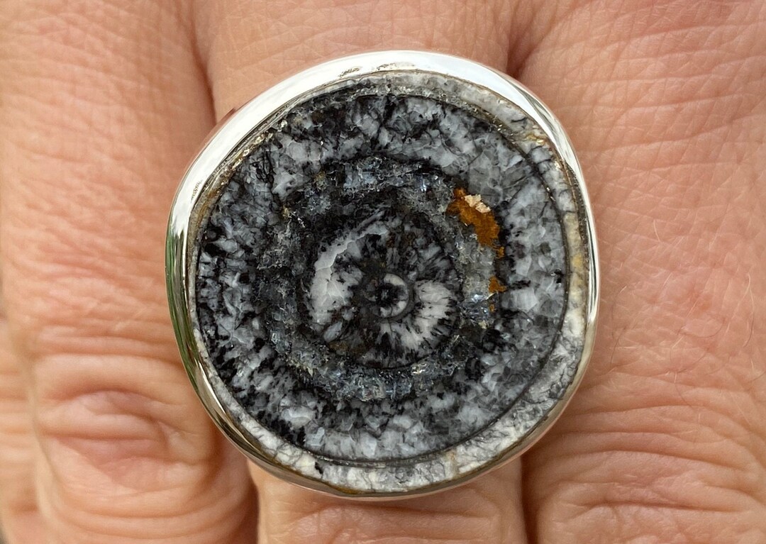 Natural Orthoceras Cross Section Ring (size M , 6.5) Ring in 925 ...