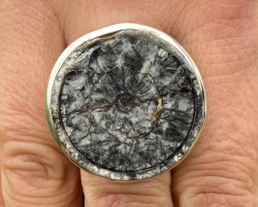 Natural Orthoceras Cross Section Ring (size R , 8.75) Ring in 925 ...