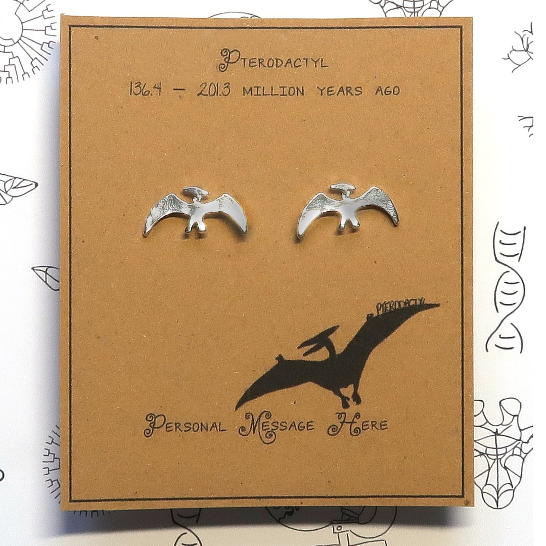 Small Pterodactyl Earrings With Personalised Message - Etsy