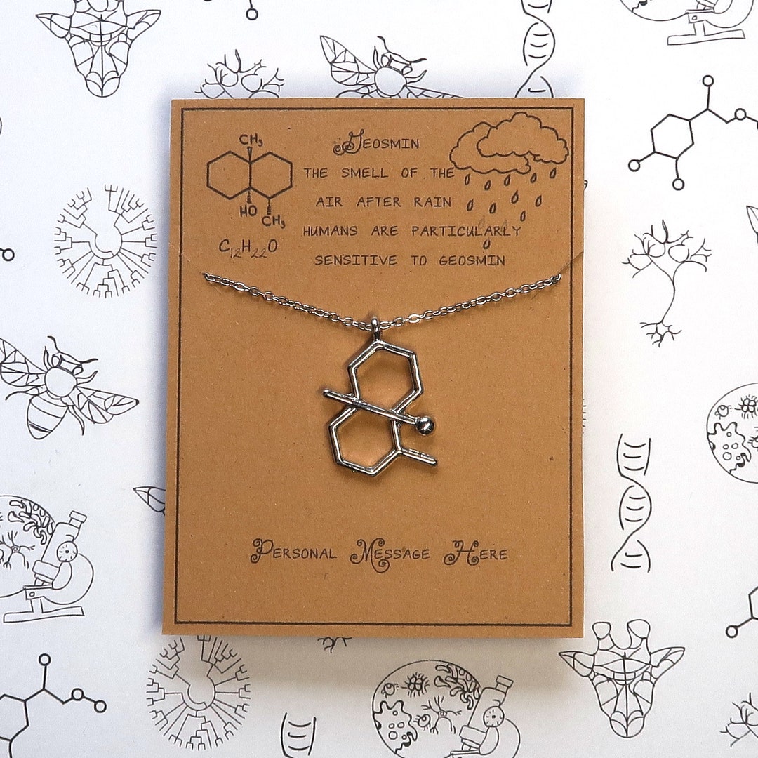 Geosmin Molecule, the Smell After Rain Necklace With Personalised ...