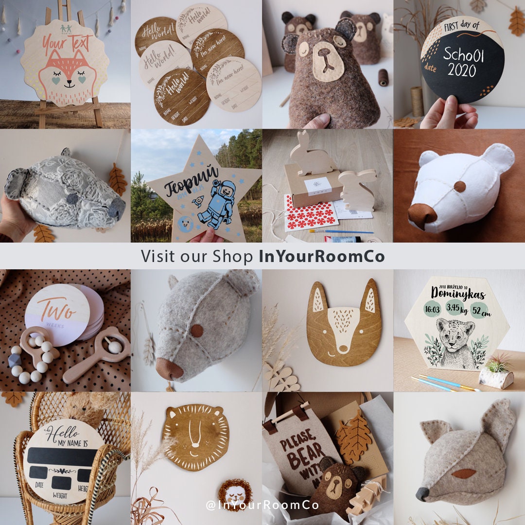 Milestone Discs Milestone Photography Keepsake Milestones - Etsy