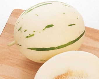 Snow Leopard Melon Seeds - Etsy