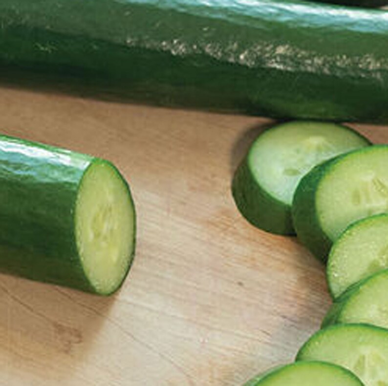Unagi Cucumber Seeds: Long Asian Crisp Variety - Etsy