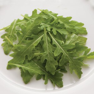 Wild Arugula 'sylvetta' Seeds: Edible Yellow Flowers, Salad Greens - Etsy