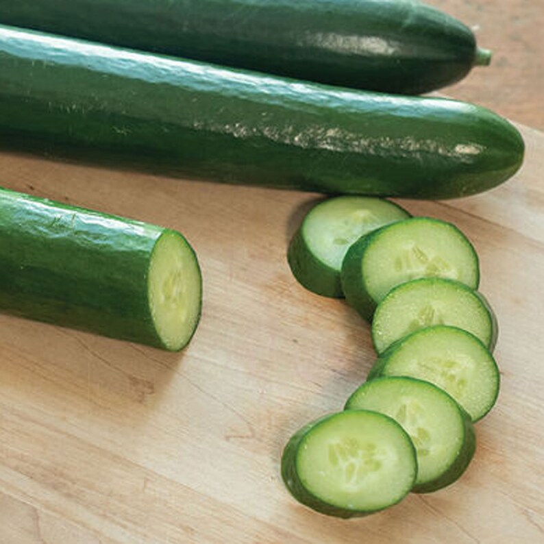 Unagi Cucumber Seeds: Long Asian Crisp Variety - Etsy