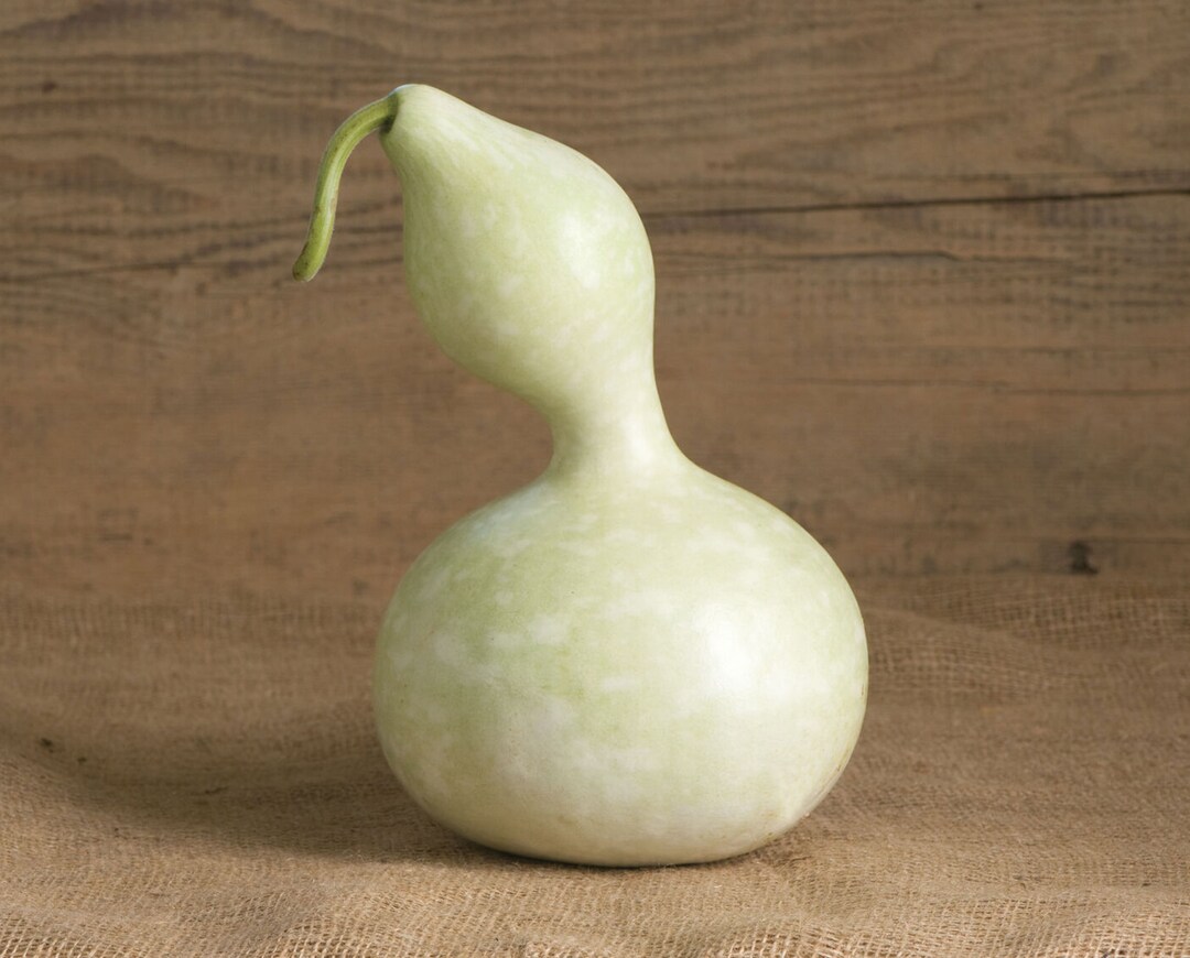 Birdhouse Gourd Seeds, Bottle Gourd, Crafting Gourd Plants, Grow Your ...