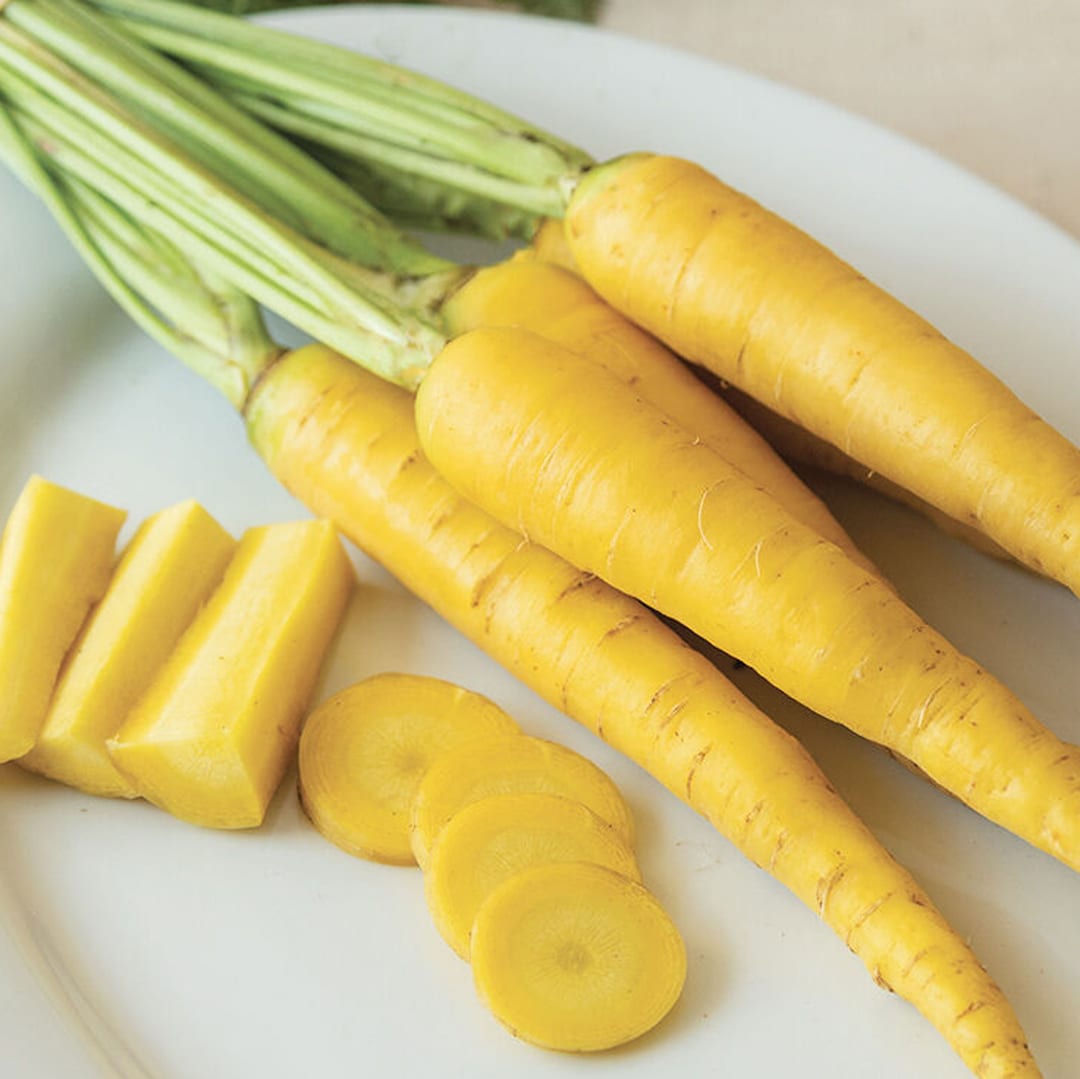 Yellow Carrot Seeds, 'yellow Moon' Specialty Carrots, Daucus Carota ...